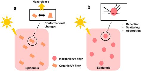 Small Doses Of Ultraviolet Light May Help The Body Produce