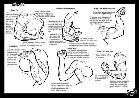 Tutorial Arms 1 By Bambs79 On DeviantArt