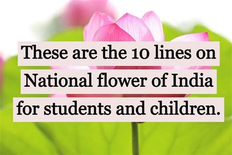 Best 12 10 LINES ON LOTUS NATIONAL FLOWER OF INDIA Artofit