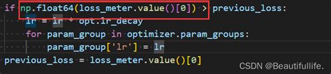 【pytorch】——runtimeerror Value Cannot Be Converted To Type Float