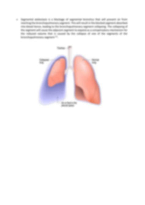 Solution Bronchopulmonary Segment Of Lungs And Its Clinical