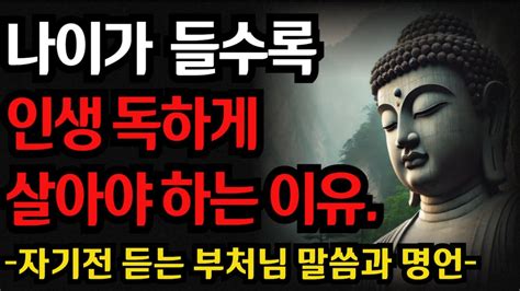나이가 들수록 인생 독하게 살아야하는이유빛나는 노년의 지혜명언 조언 격언 오디오북 철학과지혜 부처님말씀 석가모니