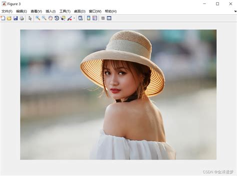matlab实现数字图像的加减乘除运算 matlab对图像进行加减乘除 CSDN博客
