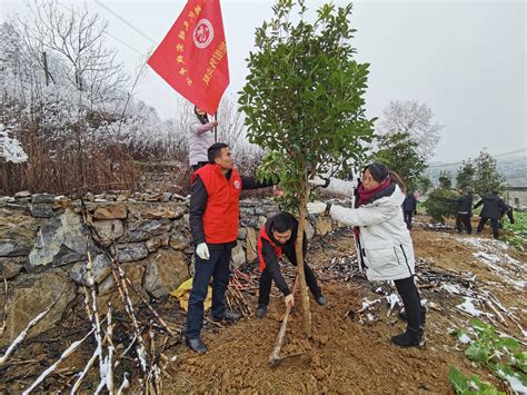 黔西市洪水镇：我为新春添“新绿”水库活动服务
