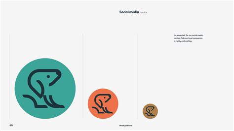 Solidify Health Brand Strategy By Design Studio Superfried