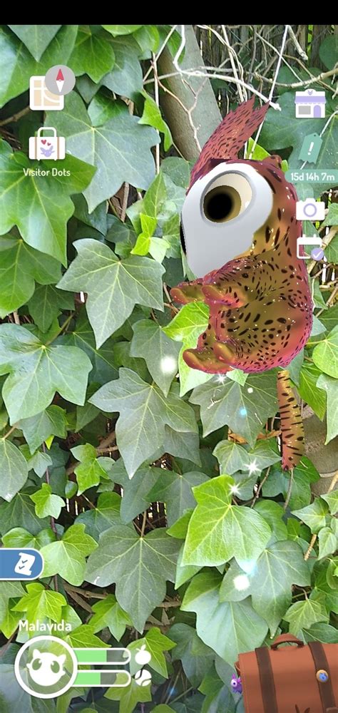 Peridot Apk Download For Android Free