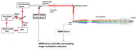 The Schematic Setup Of The Miniaturized Fiber Based Cars Microendoscope