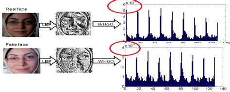 Figure Shows The Textural And Gradient Feature Difference Between Both