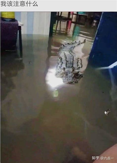 盘点那些笑死人的满级人类 知乎