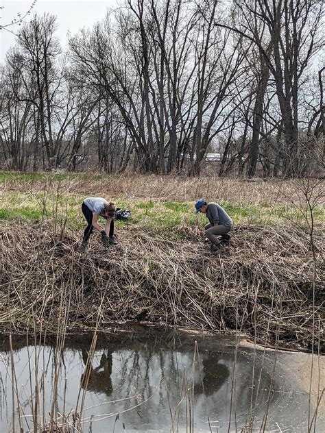 Enhanced Agricultural Riparian Buffer Pilot Project