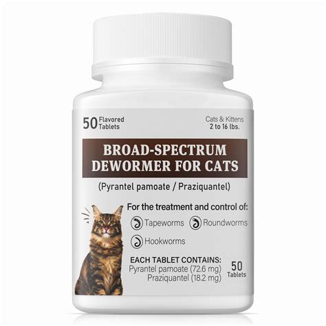 5 Best Cat Tapeworm Treatment Stop Tapeworms In One Dose