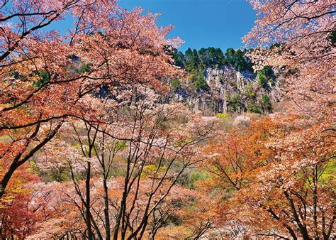 〈吉野町〉世界遺産 吉野山×無印良品 老舗旅館に「muji Room」誕生！ 奈良の地域密着型・総合情報サイト Narakko （奈良っこ）