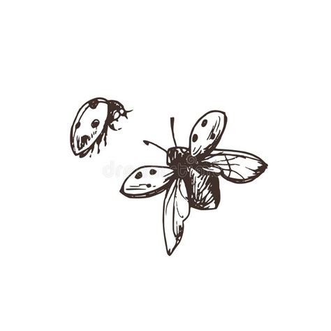 Ladybug With Speckles Flying With Spread Wings And Wing Pads Three