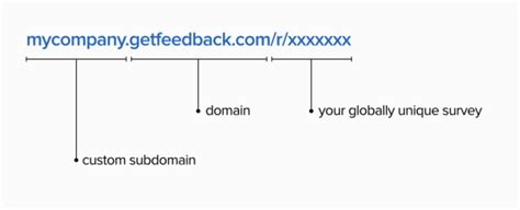 Custom Survey Links And Domains Getfeedback Help