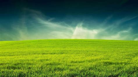 100 Green Grass Backgrounds