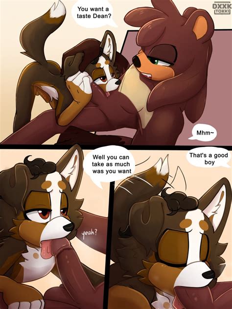 Rule 34 Absurd Res Anthro Bear Bernese Mountain Dog Canid Canine