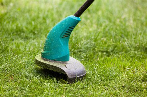 가솔린 잔디 트리머 화창한 여름 날 잔디밭에 육즙이 녹색 잔디 Mows 정원 장비입니다 가지치기에 대한 스톡 사진 및 기타 이미지 가지치기 개선 남자 Istock