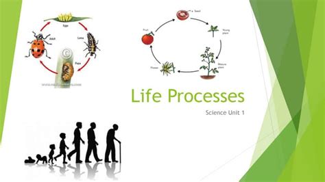 life processes unit 1 pptx