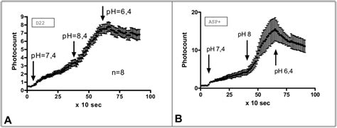 Effect Of Ph On Accumulation Of Asp A Fluorescent Analog Of Mpp And