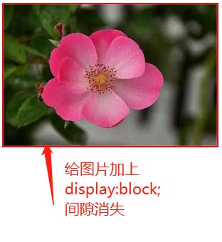 CSS display 属性背景属性其他常用属性 arry老师的博客 艾编程