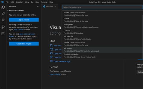Java On Vs Code 更新 2023年6月：代码补全性能的重大提升，单元测试体验的优化，项目创建的新类型支持 知乎