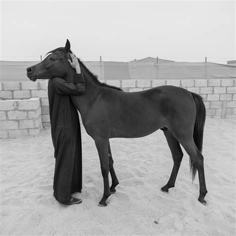 Exhibition Farah Al Qasimi Toy World With Works By Farah Al Qasimi Galerie Krinzinger