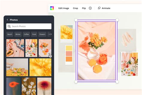 Explore Canva Features To Unlock Your Creativity