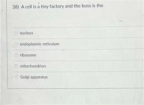 Solved A Cell Is A Tiny Factory And The Boss Is Chegg