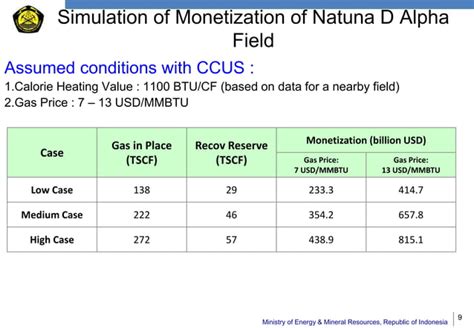 Ccs Ccus Program And Activities In Indonesia Pdf Power And Energy Industry Industries