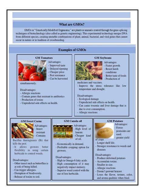Examples Of Gmo Pdf Genetically Modified Organism Genetically Modified Food
