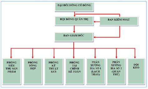 Phân loại mẫu sơ đồ tổ chức công ty phổ biến nhất hiện nay