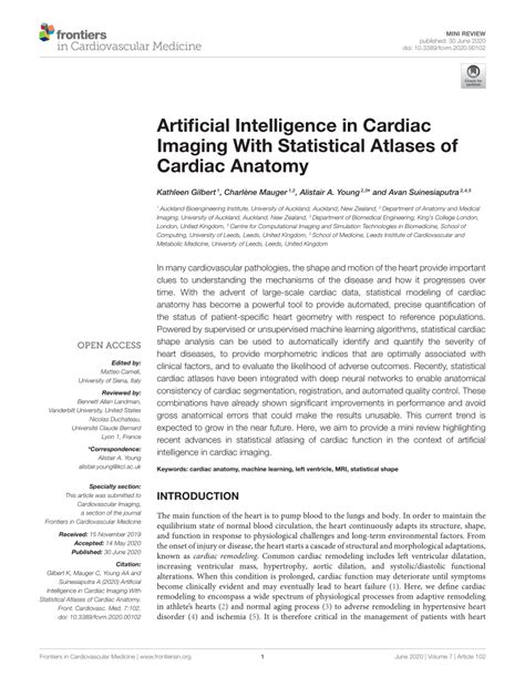 pdf artificial intelligence in cardiac imaging with statistical