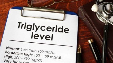 Nilai Trigliserida Normal Apa Itu Trigliserida Yang Harus Dicek Selain Kolesterol And Tensi