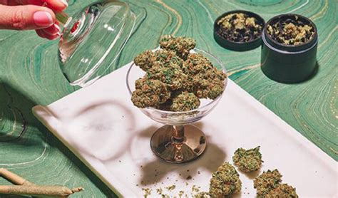 Cardiovascular Consequences Of Long Term Drug Use Veda Rehab In India