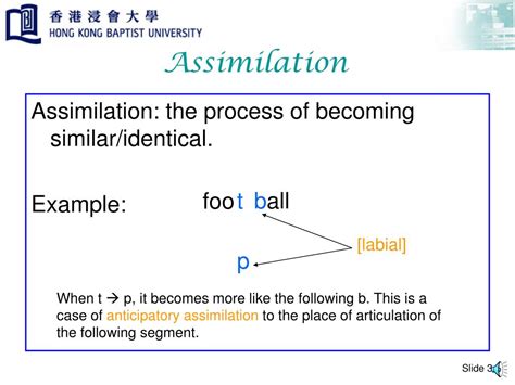 Ppt Assimilation Powerpoint Presentation Free Download Id1362504
