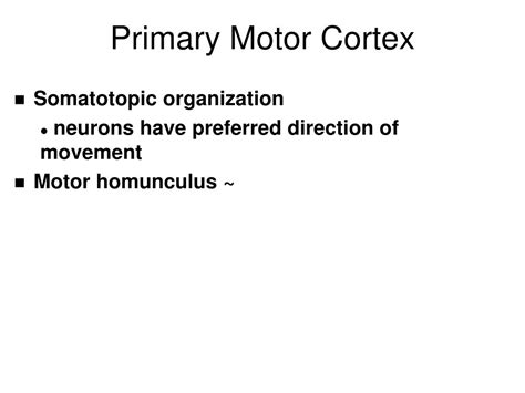 PPT Cortical Control Of Movement PowerPoint Presentation Free Download ID 932622