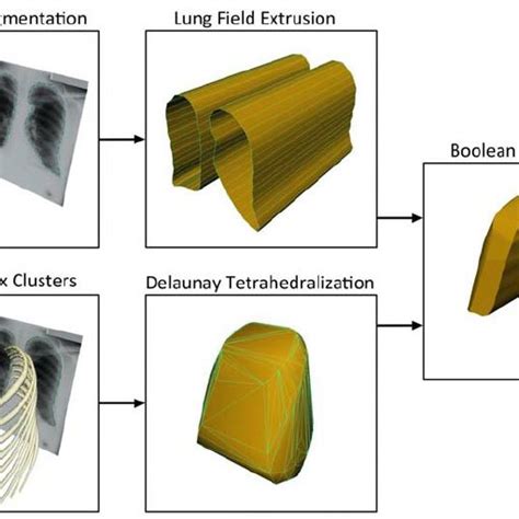 Rib Segmentation Process And Results A Initial Pa X Ray Image B