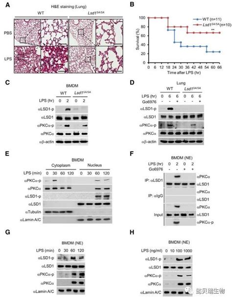 上海懿贝瑞从高分文章解析脓毒症研究套路 知乎
