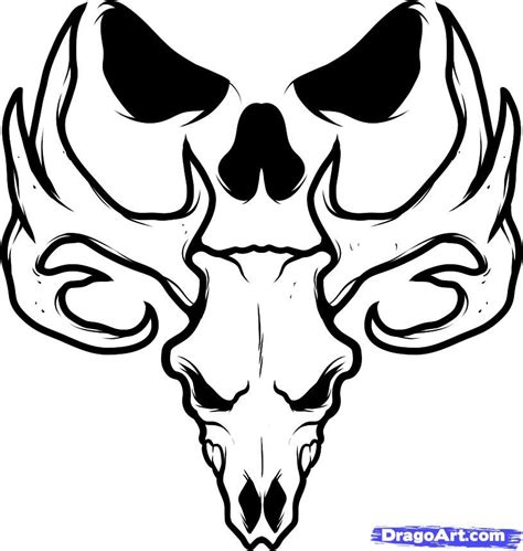 How To Draw A Animal Skull Easy At Jamie Inglis Blog