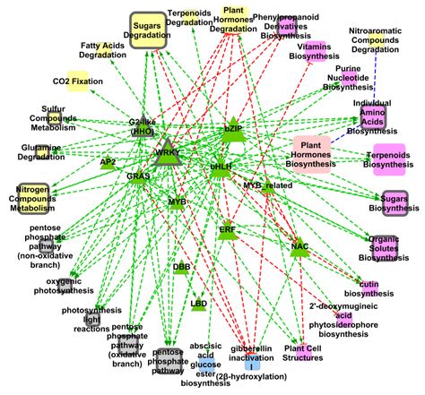supernode network analysis created from the 182 genes of download
