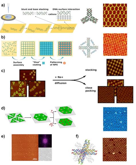 Constructing Large 2d Lattices Out Of Dna Tiles Mdpi