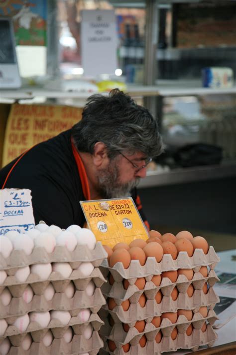 무료 이미지 식품 납품업자 어린이 시장 계란 표식 스페인 에스파냐 신전 달걀 메르 카도 발렌시아 에스