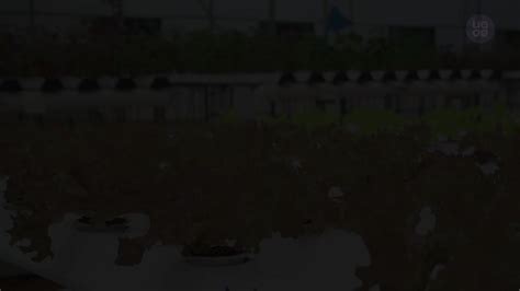 Sampath Vinay On Linkedin Waking Up Everyday Knowing That Lots Of