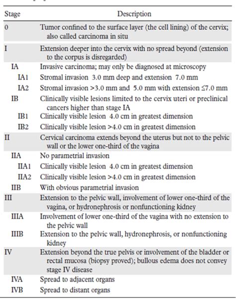 Figure 1 From Cervical Cancer Staging Through Magnetic Resonance Imaging Mri — What The