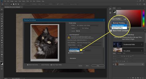 Understanding Print In Photoshop