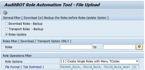 Auditbot Role Automation For Sap