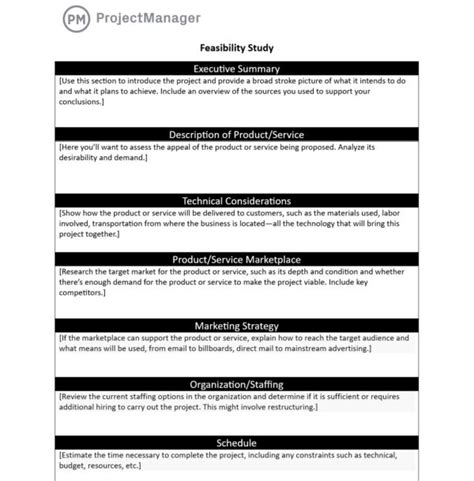 Project Feasibility Report Developer