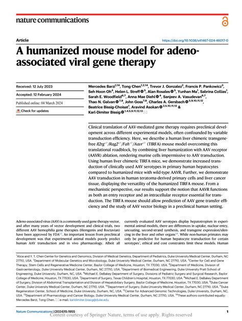 Pdf A Humanized Mouse Model For Adeno Associated Viral Gene Therapy