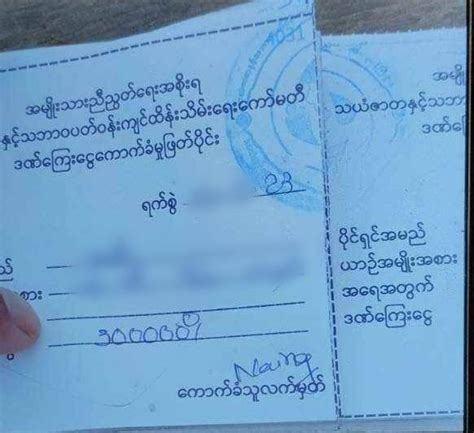 တော်လှန်ရေးနှင့် သစ်တောပြုန်းတီးမှု အတွေးအမြင်ဆောင်းပါး