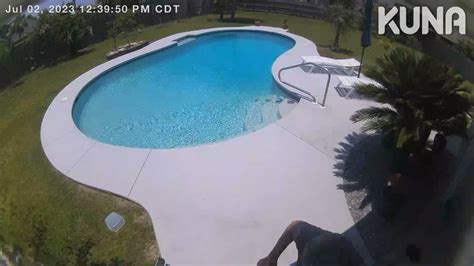 hmb while i try to kill a wasp r holdmybeer